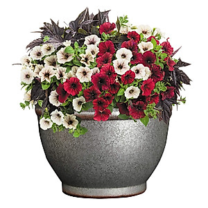 Classic Home & Garden 10512D-531R 12" Alena Planter, Distressed Galvanized
