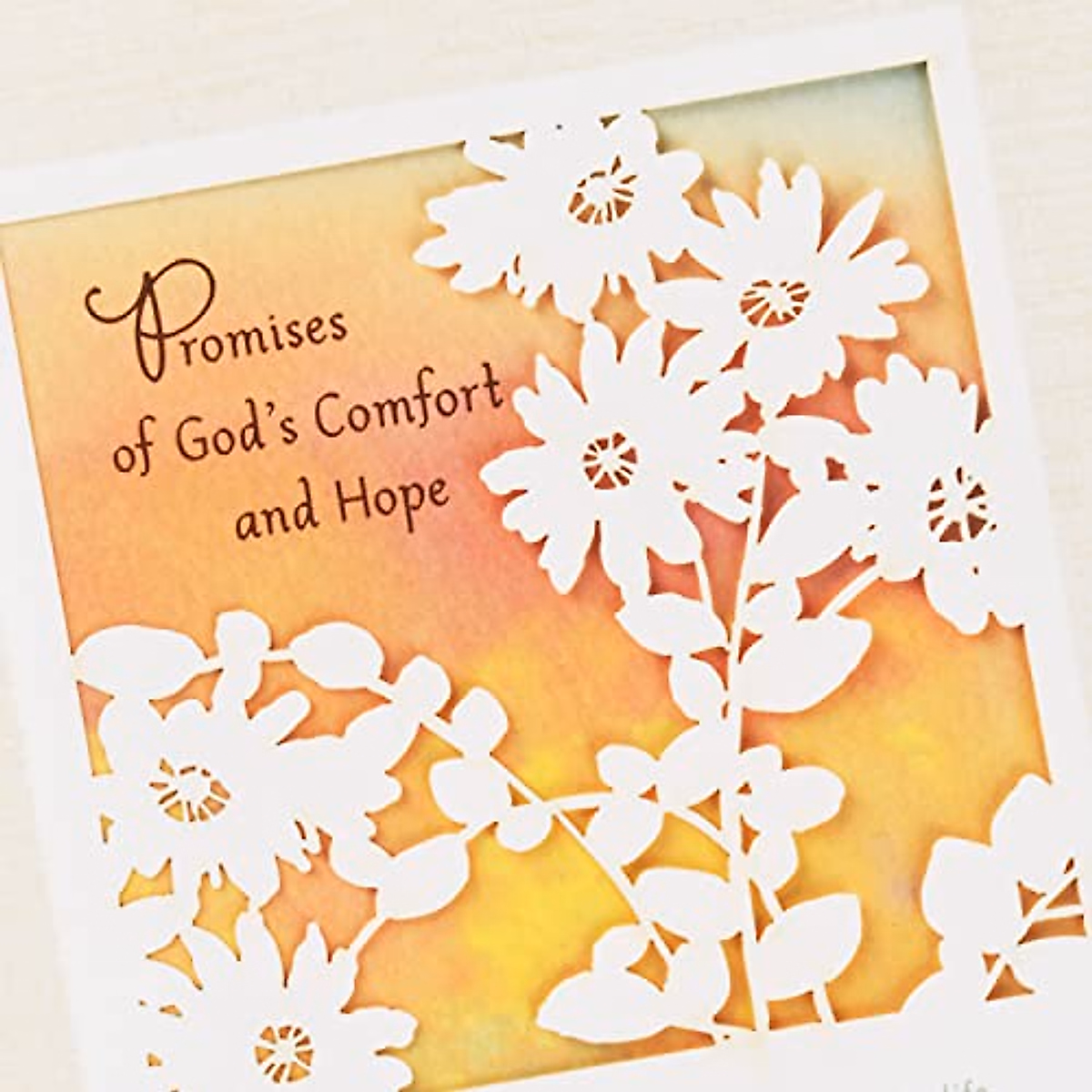 Hallmark DaySpring Religious Sympathy Card | God's Comfort