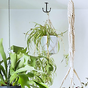 BAMI-LEE House Anchor Shape Zinc Alloy Double Prong Ceiling Hooks, 4-Pack Under Shelf Coat Hooks Hanging Towel Robe Clothes Cap Bathroom Kitchen Cabinet Garage Use (Black)