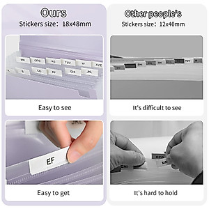 JIMEIQI Accordion File Organizer, 13 Pocket Expanding File Folder Organizer for Letter Size/A4 Documents, Expandable Portable Monthly Bill/Receipt Organizer for Home/Office/School (Makaron Purple)