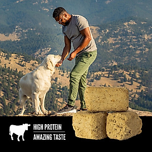 ORIJEN® Freeze Dried Dog Treats, Grain Free, High Protein, Raw Animal Ingredients, Ranch-Raised Beef, 3.25oz