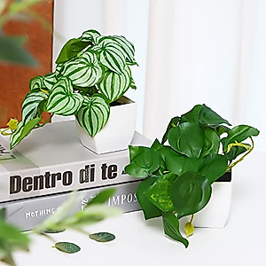 CEWOR Fake Plants 2 Packs Artificial Plants Small Plants Artificial Decor for Home Bedroom Aesthetic Living Room Bathroom Farmhouse Decor Indoor