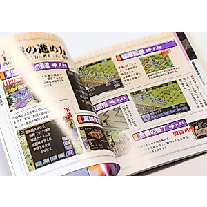 Nobunaga no Yabou: Reppuuden [Japan Import]