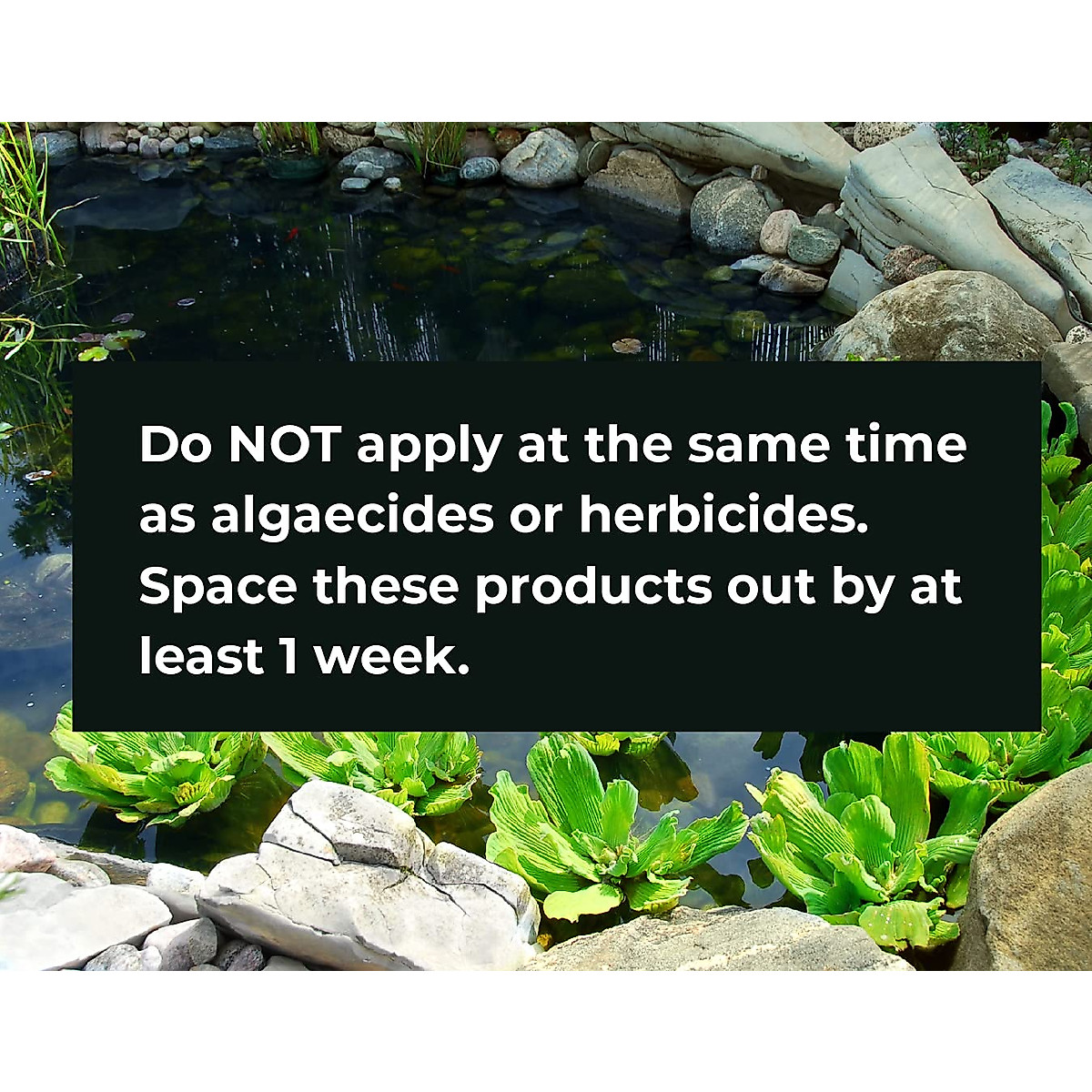 PondWorx Pond Bacteria and Water Clear- Formulated for Large Ponds, Water Features and Safe for Koi, Improves Water Quality- Gallon