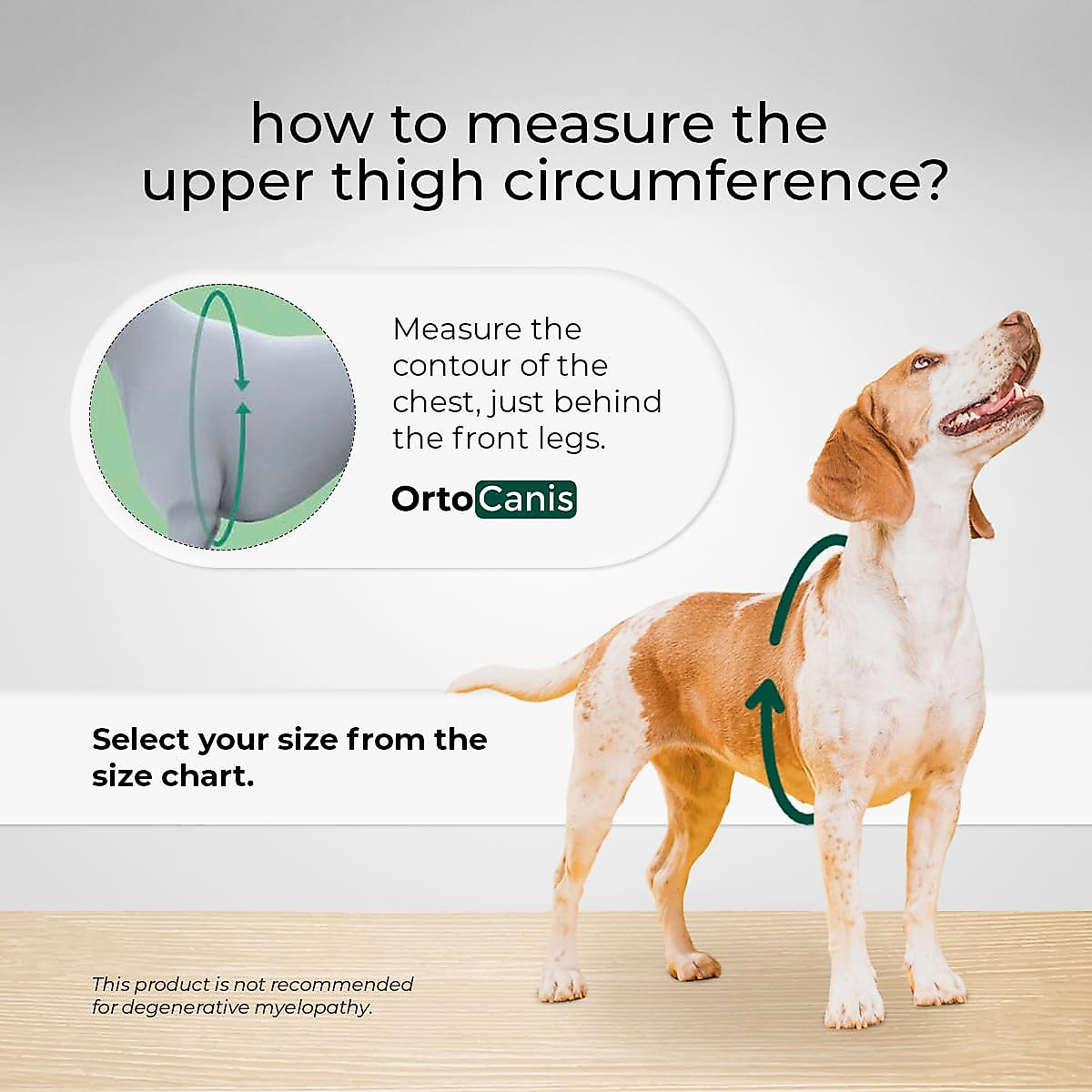 Ortocanis - Hip Support for Dogs with Hip Dysplasia or Osteoarthritis (L)