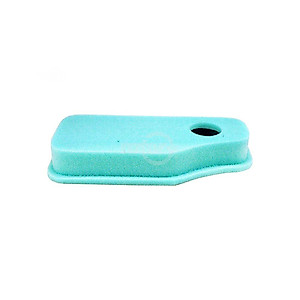 1397 AIR FILTER 270843 B&S