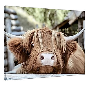 LB Highland Cow Canvas Wall Art Funny Farm Brown Bull Canvas Prints Rustic Animal Cattle Artwork Country Modern Painting Picture Poster for Bathroom Bedroom Living Room Wall Decor,16x12 Inch
