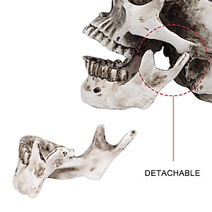 Aries Outlets Retro Human Skull Replica Resin Anatomical Model Medical Lifesize Realistic 1:1