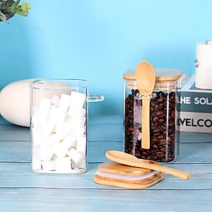 LEAVES AND TREES Y Set of 6 Square Glass Jars with Bamboo Lids and Spoons, 17 OZ Airtight Small Glass Tea Containers for Loose Tea, Coffee and Sugar Glass Container for Yogurt Jars with Lids