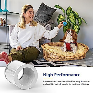 H-HF400-VP Replacement Filter Kit Compatible with Hunt-er H-HF400-VP H-PF400 with True HEPA Pre-Filter for HP400 Air Purifier Series,1 True HEPA Filter+4 Pre-Filters