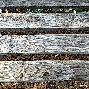 Touch Of Beeswax Wood Conditioner and Polish 16 Ounce | Waxes and Preserves Wood Beautifully