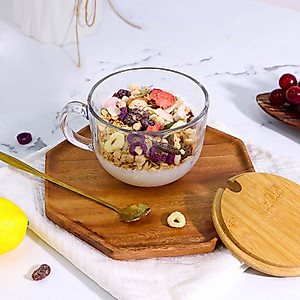 MDLUU 16oz Coffee Mugs with Handle, Glass Cups with Bamboo Lids & Cherry Blossom Spoons, Clear Drinking Glasses for Tea, Cereal, Yogurt, Set of 2