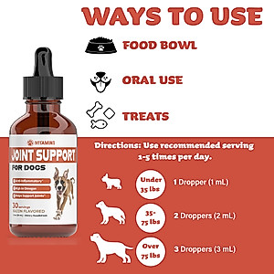 Joint Support Supplement for Dogs | Dog Hip and Joint Supplement | Supports Healthy Hips, Joints, & Much More | Dog Joint Supplement | Joint Supplement for Dogs | Joint Support for Dogs | 1 fl oz