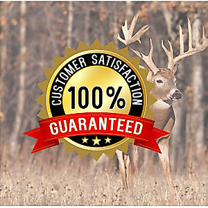 maifield 125 Grain 3 Fixed Blade Bowhunting Broadheads 12 Pcs 1 1/4 Cutting Diameter Screw-in Archery Hunting Head Arrow Tip Crossbows and Compound Bow Arrows (125 Grain 12PK)