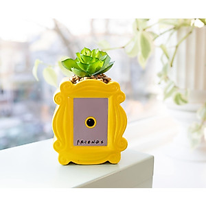 BoxLunch Friends Peephole Frame Faux Succulent Planter