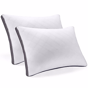 XCJC Sleep Bed Pillows 2 Pack: Comfort Luxury Standard Hotel Soft Pillows with Adjustable Fluffy Microfiber Filling Stuffing Washable Pillowcase for Back Stomach Side Sleepers - Size 20 x 26 Inches