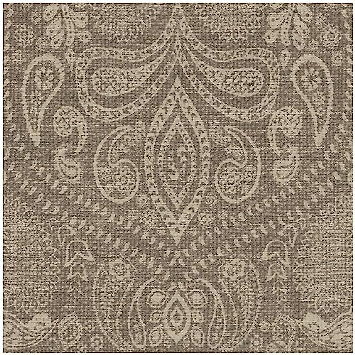 RUGGABLE Washable 3x5 Area Rug, Paisley Prom Dark Tan, Premium Rugs for Living Room, Bedroom, Kitchen, Office, Classroom with Gripper Non Slip Pad, Iris Apfel