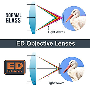 Celestron TrailSeeker 8x42 ED Binoculars - Compact Birdwatching Binoculars with ED Objective Lenses, Broadband Multi-Coated Optics, BaK4 Roof Prism