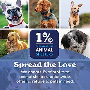 Origin Labs Puppy Multifunction Support DHA Omega 3 Supplement, Wild Alaska Salmon Fish Oil, Probiotic for Gut Health, Immune Support, Heart, Skin, Brain, Joint Health, Salmon Flavor, 60 Soft Chews