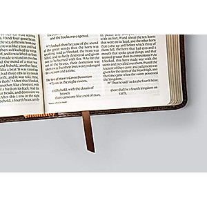 ESV Large Print Compact Bible(8 pt Lexicon type Print) (TruTone, Berry, Floral Design)