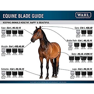 WAHL Professional Animal Figura Pet, Dog, and Horse Cordless Clipper Kit, Chrome (#8868)