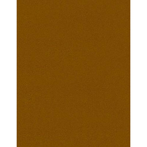 Bundles - 2 Cardstock Items - Pearlescent Light Pink - 8.5 x 11 inch - 105Lb Cover; Pearlescent Bronze Gold - 8.5 x 11 inch - 105Lb Cover - 40 Sheets Total - Clear Path Paper