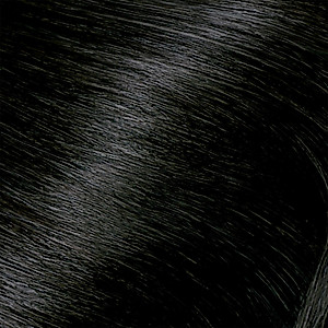 Clairol Nice'n Easy Perfect 10 Permanent Hair Dye, 2 Black Hair Color, Pack of 1