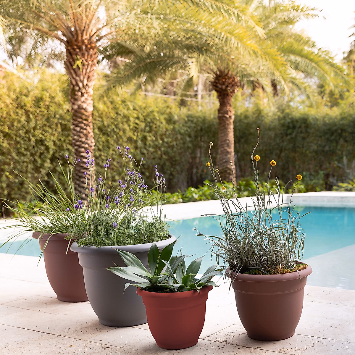 Bloem Ariana Self Watering Planter: 12" - Burnt Red - Durable Resin Pot, for Indoor and Outdoor Use, Self Watering Disk Included, Gardening, 3 Gallon Capacity