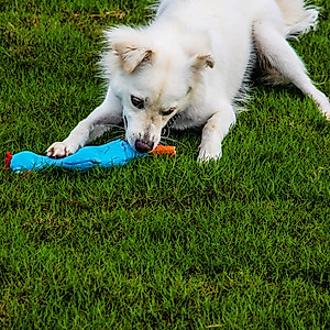 PetLike Squeaky Dog Toys Safe Latex Rubber Dog Toy for Small Medium Dogs Screaming Rubber Duck Dog Toys Set (Duck, 2 Pack)