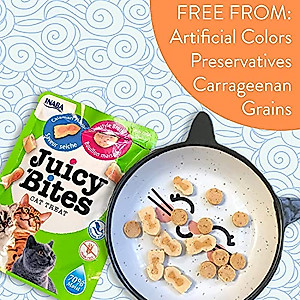 INABA Juicy Bites Grain-Free, Soft, Moist, Chewy Cat Treats with Vitamin E and Green Tea Extract, 0.4 Ounces per Pouch, 15 Pouches (3 per Pouch), 5 Flavor Variety Pack