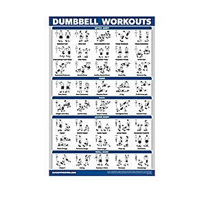 Palace Learning Dumbbell Workout Exercise Poster - Free Weight Body Building Guide | Home Gym Chart - LAMINATED, 18" x 24"