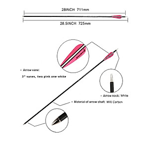 PANDARUS Archery Carbon Arrows 28-Inch Safety Beginner's Target Practice for Compound & Recuve Bow - (Pack of 12) Pink