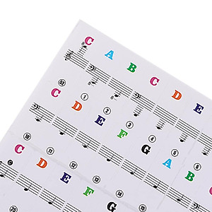 1 Set Electronic Keyboard Stickers Music Label Notes 88/61/54/49 Key Transparent for White Keys Piano Decoration(1.37inch,Transparent)