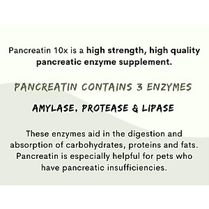 Pancreatin 10X - Pancreatic enzymes for Dogs and Cats (Made in USA) High Strength | Low Odor |10oz (285g)