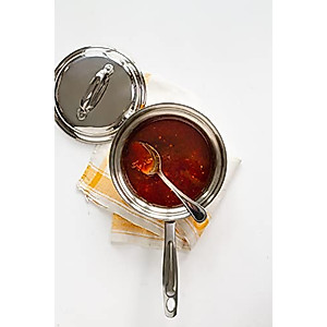 360 Stainless Steel Sauce Pan with Lid, Handcrafted in the USA, Surgical Grade Stainless Steel Saucepan, Induction Cookware, Waterless Cookware, Dishwasher Safe, Oven Safe, Professional Grade. 1 Quart