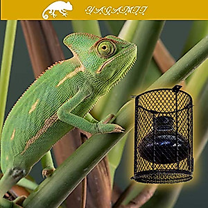 Reptile Anti-Scald Lamp Covers Heater Guard for Cage,Lights Bulb Lampshades for Lizards Spider Scorpion Protection Reptiles Supplies Industrial Grade(Round-Medium)