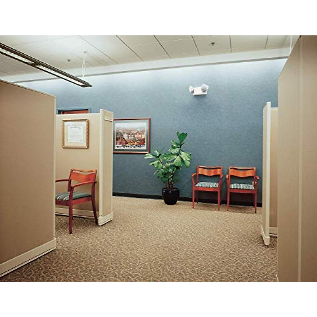 Litufine LED Emergency Lighting Fixtures with 2 Heads, Commercial Emergency Light with Battery Backup, UL 924 and CEC Qualified, 120-277 Voltage (2-Pack)