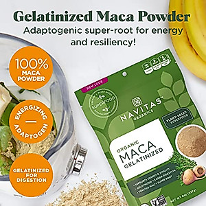 Navitas Organics Maca Gelatinized Powder, 16 oz. Bag, 90 Servings — Organic, Non-GMO, Glluten-Free (Pack of 1)