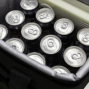 RoadPro RP5370 12-Volt Soft Sided Cooler Bag - Portable Camping 12V Electric Cooler for Camping Tailgating Traveling (15 Liter Capacity) - Black & Gray