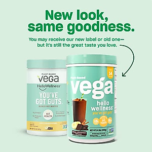 Vega Hello Wellness You’ve Got Guts Blender Free Smoothie, Choco Cinnamon Banana (14 Servings) Plant Based Vegan Protein Powder, 5g Prebiotic Fiber, 0g Added Sugar, 14.3oz (Packaging May Vary)