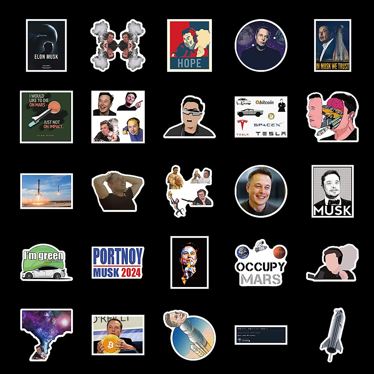 N&S [FOCUS's Stickers]100Pcs Elon Musk Stickers for Laptop Cellphone Water Bottle Hydro Flask Skateboard Luggage Car Bumper, etc FJKT, FS028
