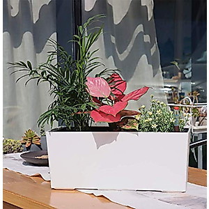 SAROSORA 14" Rectangle Self Watering Planter with Water Level Indicators for Plants & Flower Home Garden Outdoor Indoor Succulent | Herb pots | Window Box (1, White)