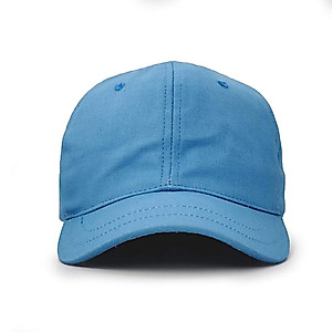 Croogo Short Brim Cap for Men Baseball Hat Stylish Trucker Cap Hat (M-RD02-Sky Blue)