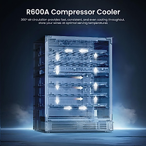 Yeego Wine Fridge & Cooler - 24 Inch Dual Zone Wine Cooler 47 Bottles, 40-65℉ Wine Refrigerator Glass Door with Safety Lock, Built-in, Under Counter or Freestanding Fridge for Home Kitchen(5.12 cu.ft)