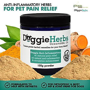 Anti-Inflammatory for Dogs w Turmeric (Curcumin) | Human Grade Dog Pain Relief, Arthritis Supplement – 100g by Doggie Herbs