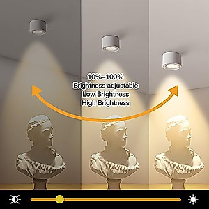 3.9" LED COB Ceiling Spotlight Indoor,7W 3000K Dimmable Warm White Directional Accent Light Fixture,White Aluminum Spot Light for Hallway Corridor Gallery Display Kitchen Living Room and Bedroom