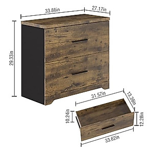 Panana 2-Drawer Wood Lateral File Cabinet, Filing Cabinets Anti-Tilt Mechanism for Home Office Storage Organization, Accommodates Letter/A4/Legal Size, New Heightened Drawer Design Home Office (Wood)