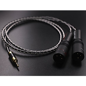 P2.5-M2 HiFi Hi End 2.5mm TRRS Balanced Male to 2 XLR Male Cable, for Astell&Kern AK100II, AK120II, AK240, AK380, AK320, DP-X1A, FIIO X5III, XDP-300R, iBasso DX200, KANN etc. (3.2ft (1M))