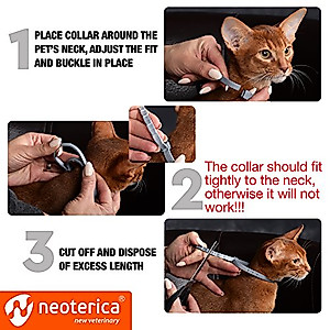Natural Flea & Tick Collar for Cats - 6 Months Control of Best Prevention & Safe Treatment - Anti Fleas and Ticks Essential Oil Repellent (1 Pack)