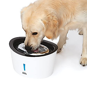 Zeus Cascade Dog Drinking Fountain with Stainless Steel Top
